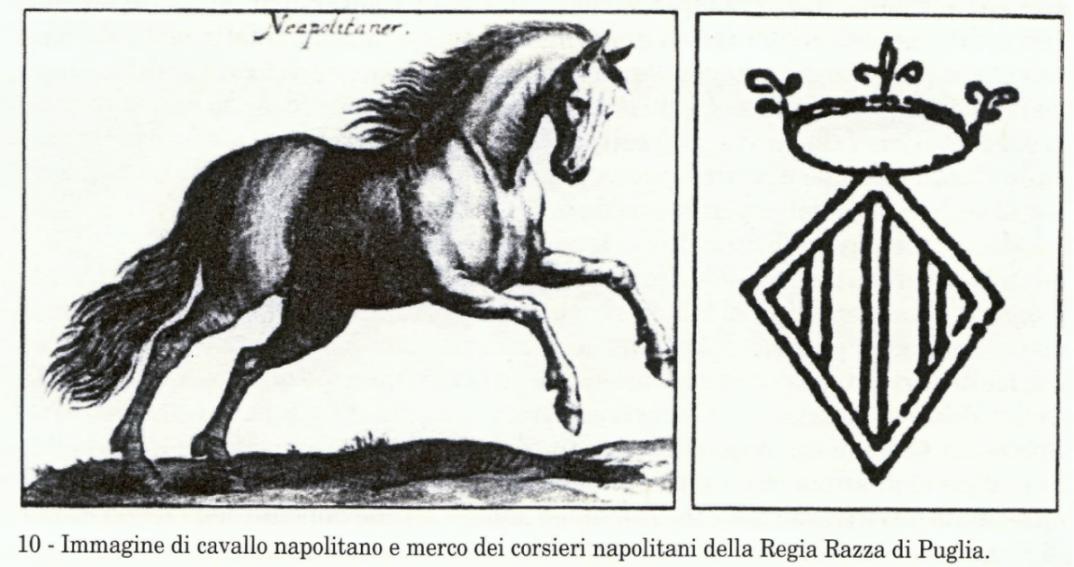 Vallata una voce indipendente, notizie storiche,novita` e curiosita`.